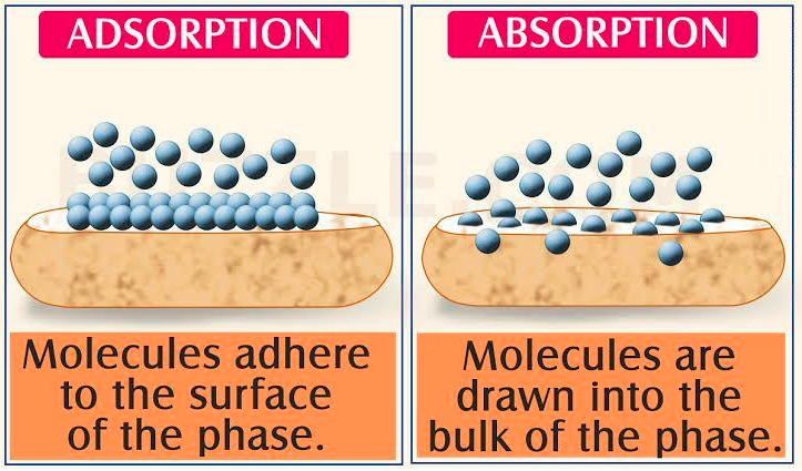 Absorption (Génie chimique) – Moulay El Hassane EL MOUKRIE. Ingénieur ...